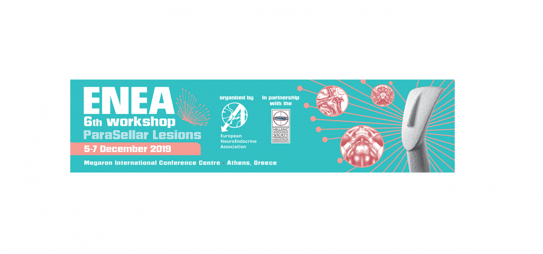 6th Workshop of the ENEA | This is Athens ACVB