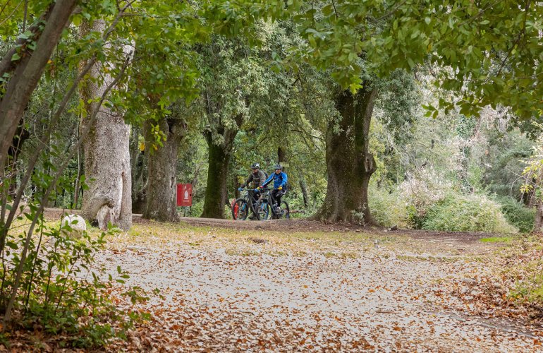 Biking in Athens | The Official Athens Guide