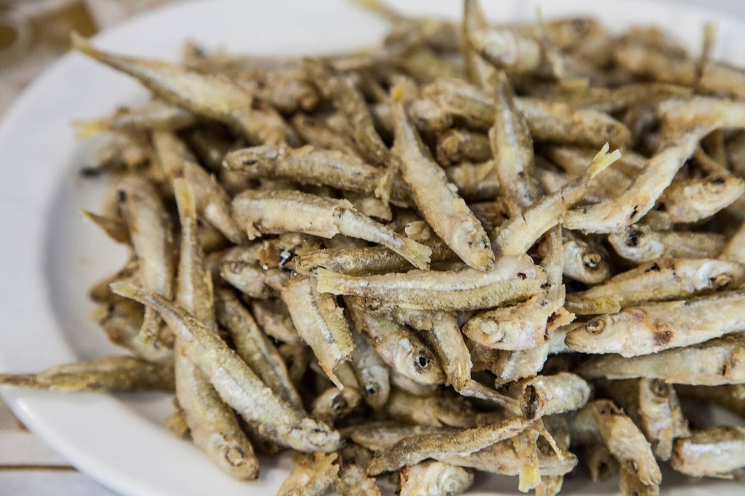 Kochili | Restaurants | Official Athens Guide