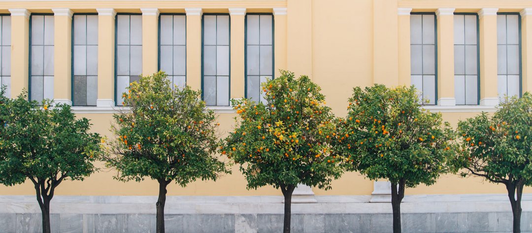 Great Things to See & Do in Athens in Spring | The Official Athens Guide
