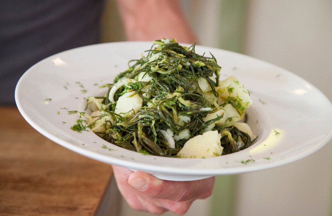 Το Rakaki | Guide Officiel d'Athènes