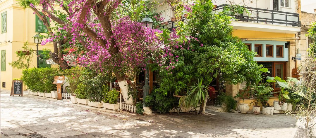 Where to Eat and Drink in Plaka | The Official Athens Guide