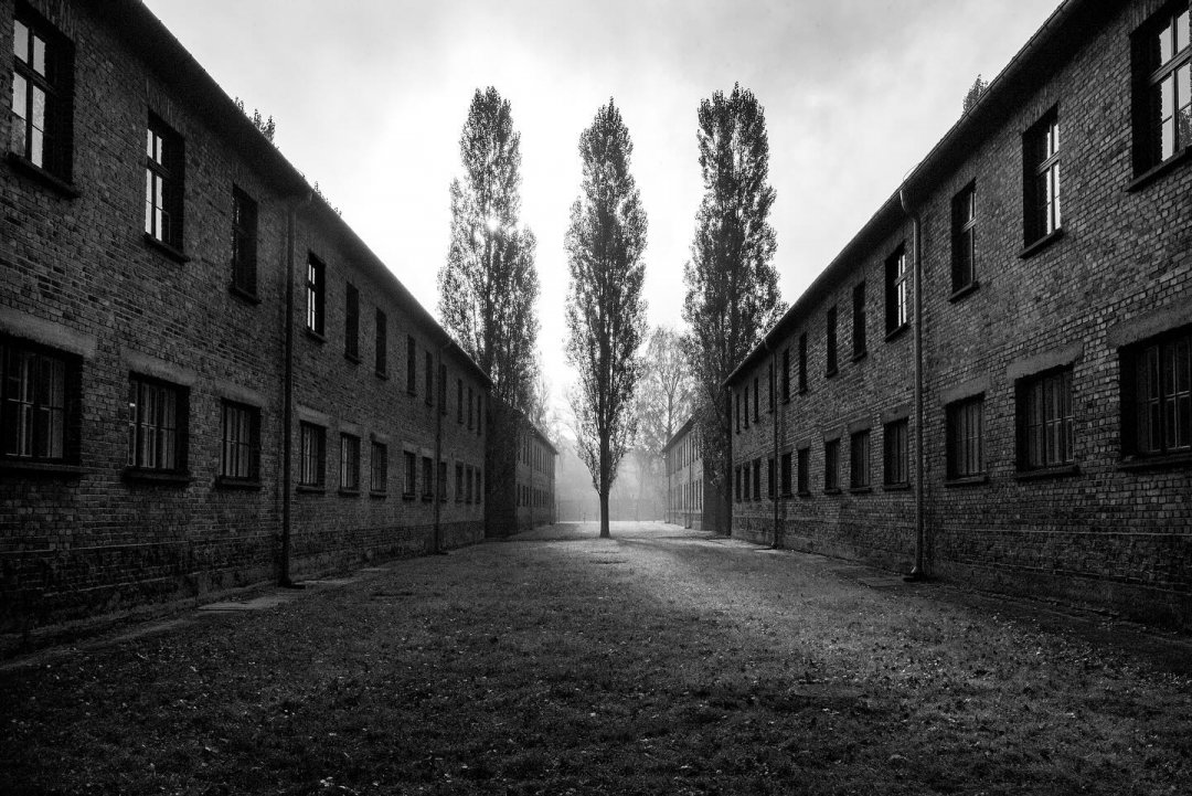 Renée Revah: Tehom | The Official Athens Guide