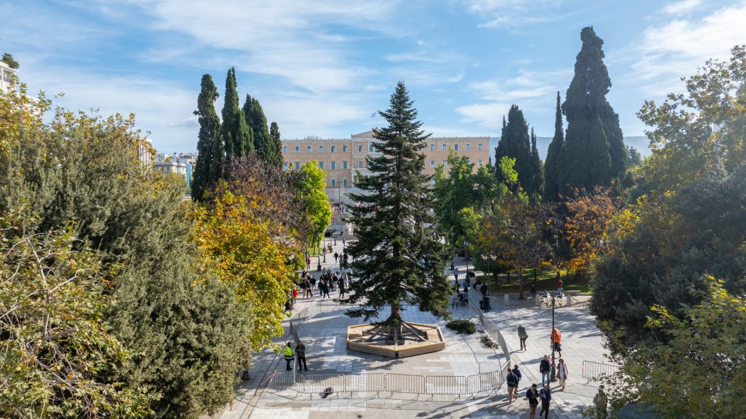 Christmas Tree Lighting at Syntagma Square | The Official Athens Guide